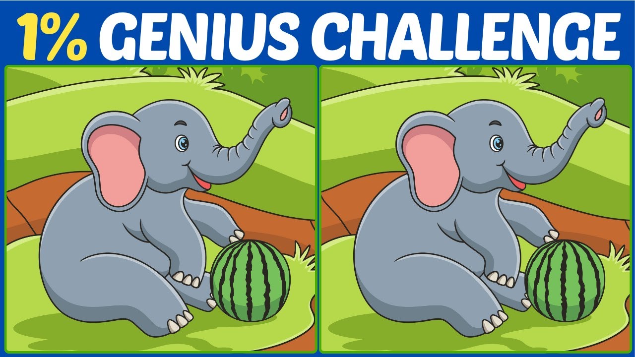 【Spot & Find The Difference】🌸Fun Activity for Improved Concentration ...