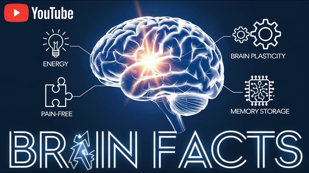 "Unraveling the Mysteries of the Brain: 5 Incredible Facts You Didn't ...