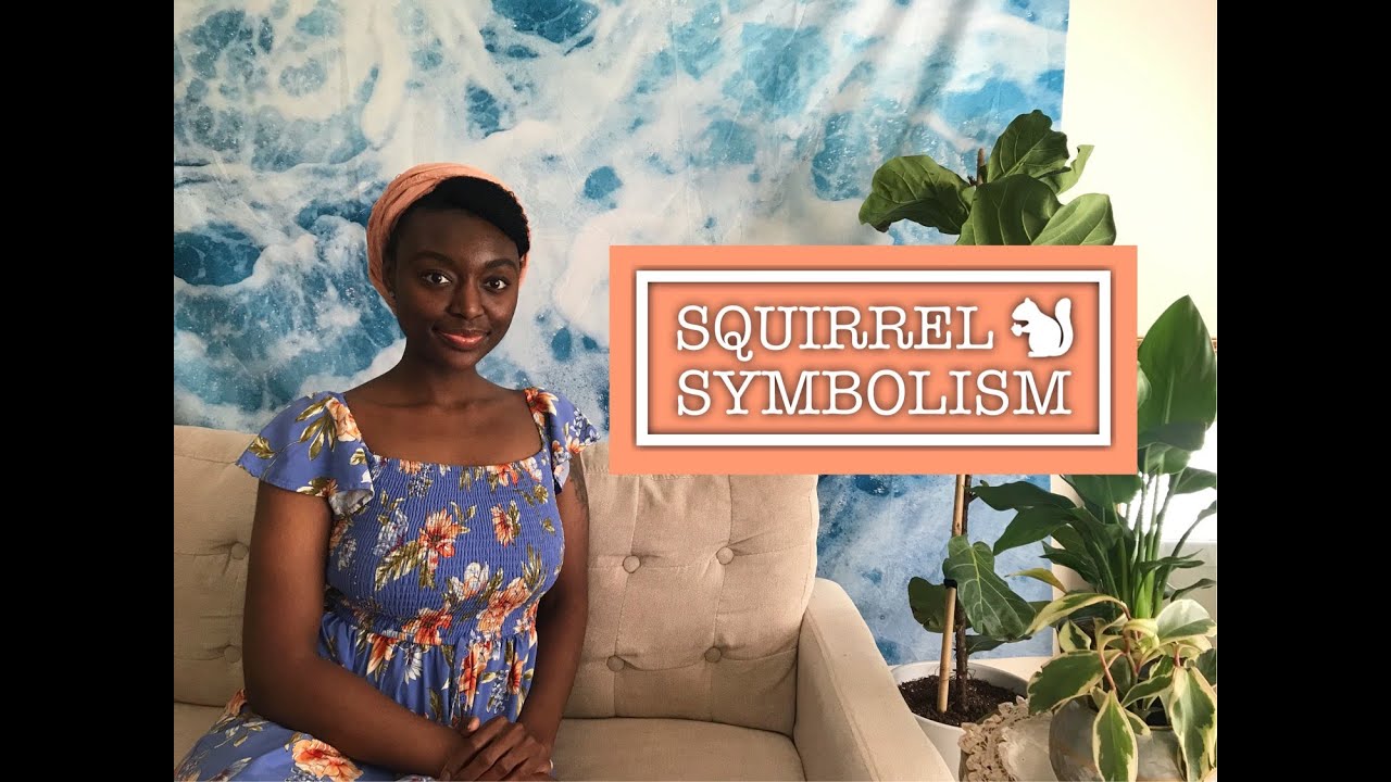 Squirrel Spirit Animal Totem | Plan for the future - YouTube