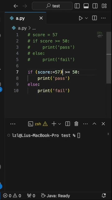 Walrus Operator In Python Python Pythonprogramming Pythontutorial Youtube 