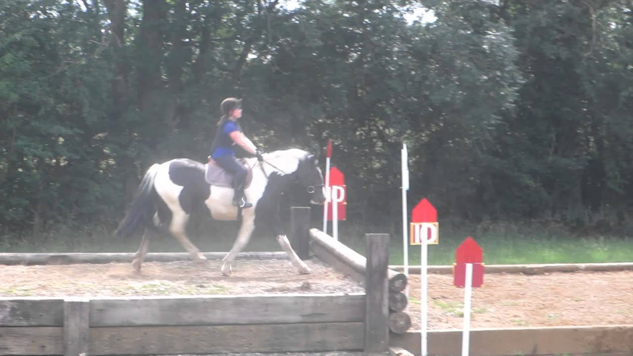 Ace & Alice xc schooling at Gawcott 047 - YouTube