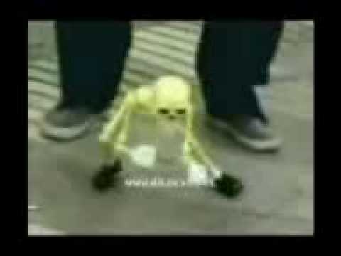 Dansöz.3gp