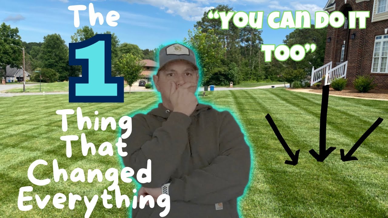 The #1 you NEED for a Great Lawn | It's Not What You Think | DIY Lawn ...