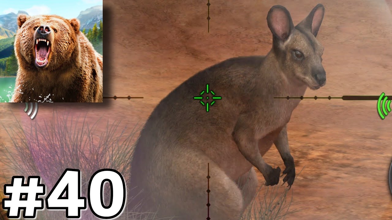 Hunting New Parma Wallaby - Hunting Clash Gameplay Ep40 - YouTube