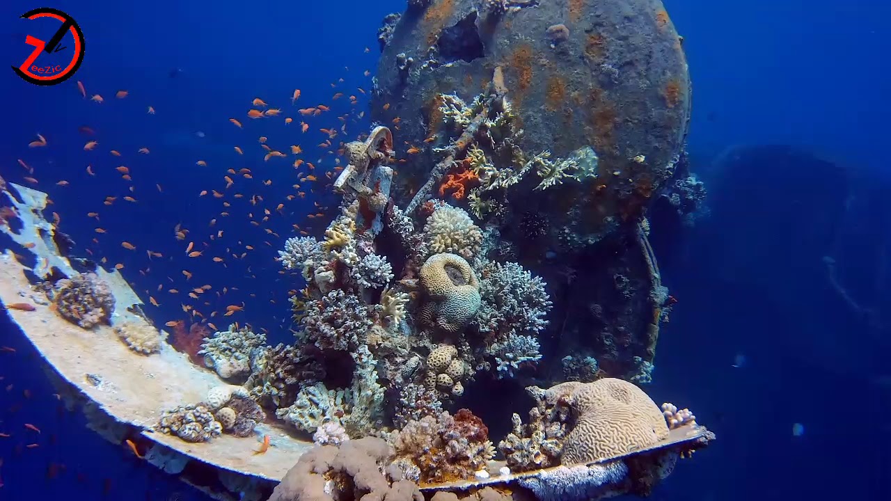 A New Seen For You - YouTube