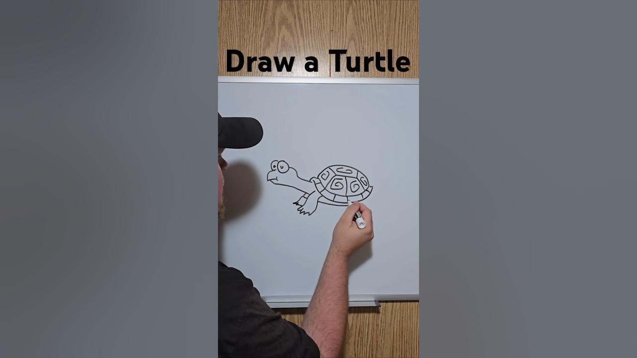 How to draw a box turtle - YouTube