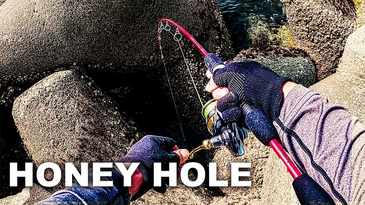 Catching Premium Rockfish with Shore Jigging and Hole Fishing&Cooking a ...