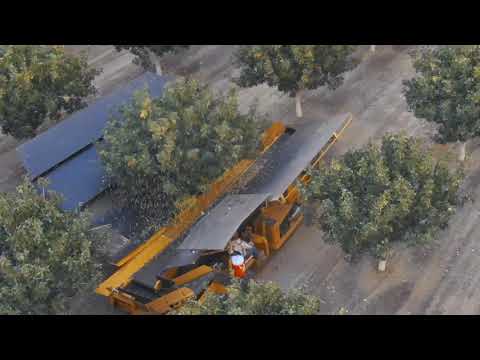 Bowie Arizona pistachio harvest kickoff 2020 - YouTube