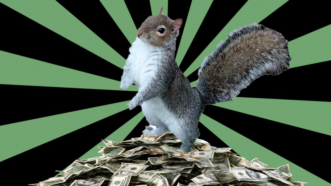 Squirrels & Compound Interest: The path to Financial Success - YouTube