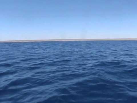 Cam's Bragging Rites - YouTube