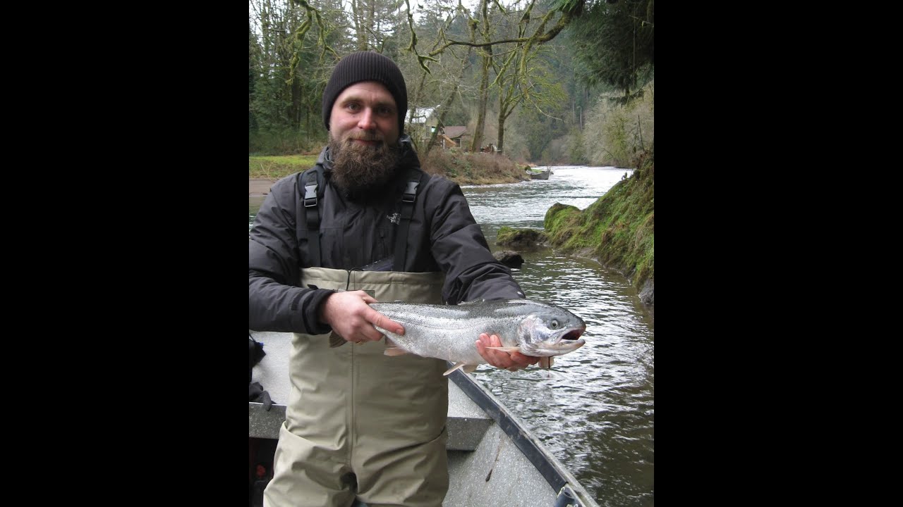 Fishing Guide Kalama - 1/15/2015 Steelhead Madness - YouTube