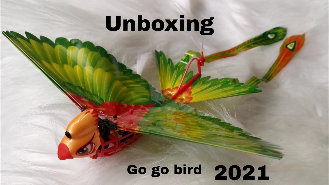 Go Go Bird Unboxing from Amazon MINIMALIST _ Parte 1 - YouTube