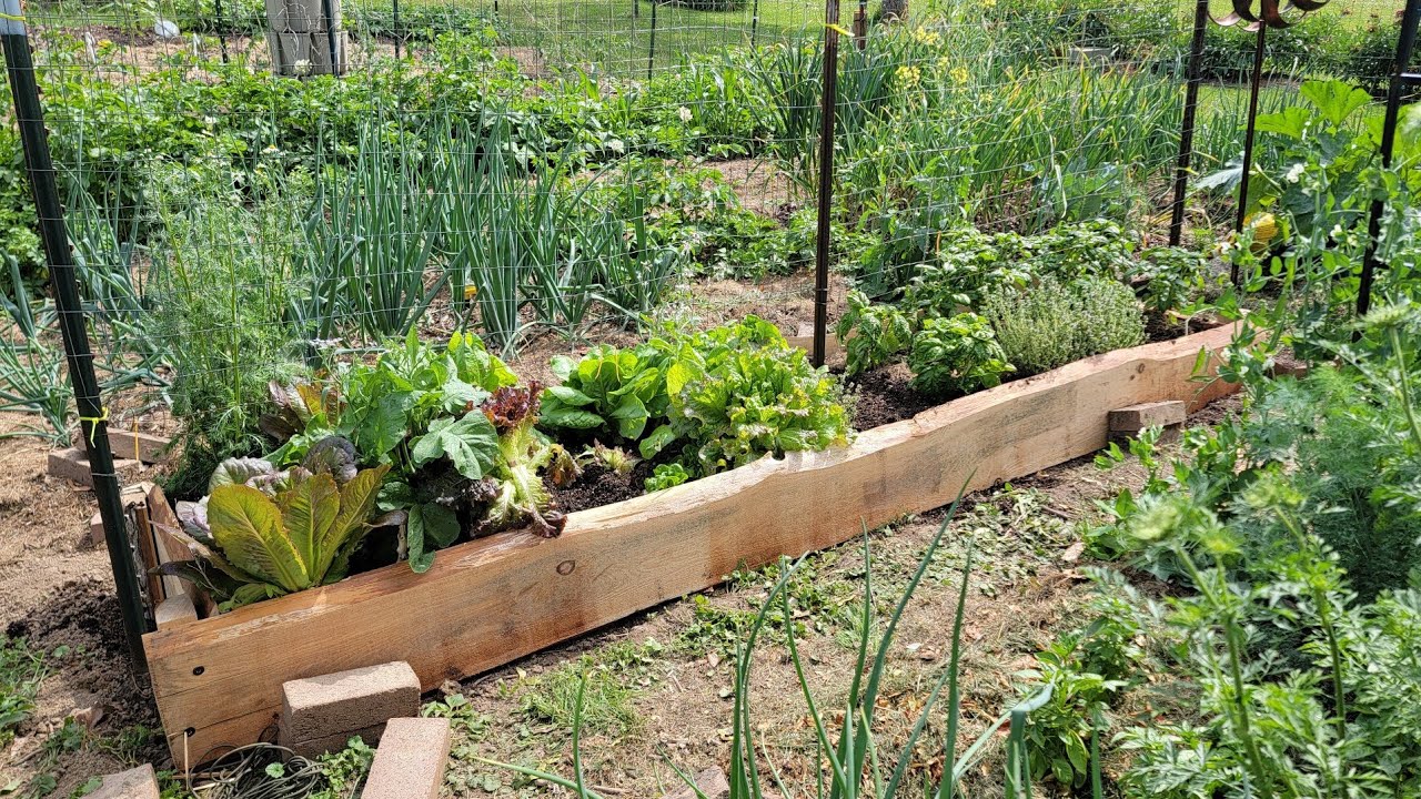 Live Edge Raised Bed, DIY - YouTube