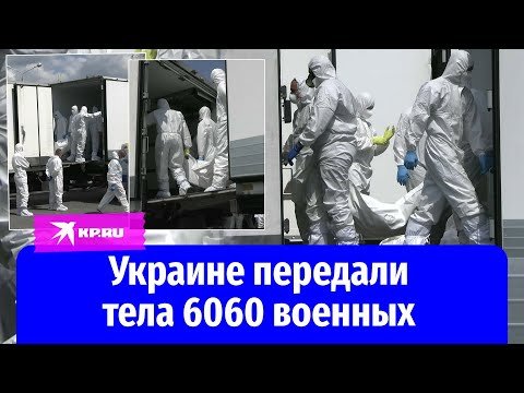 Россия и Украина завершили обмен телами погибших солдат и офицеров