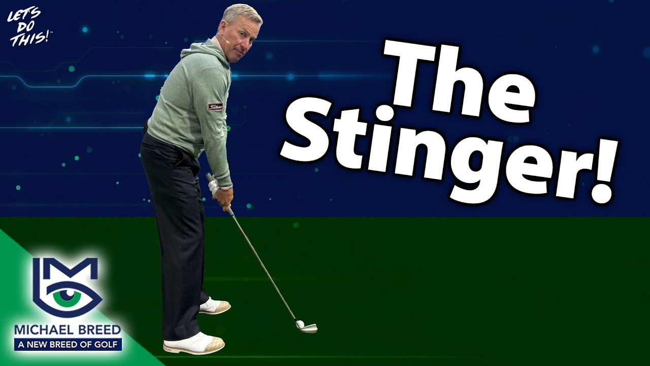 The Shot Tiger Built…The Stinger... with Michael Breed - YouTube
