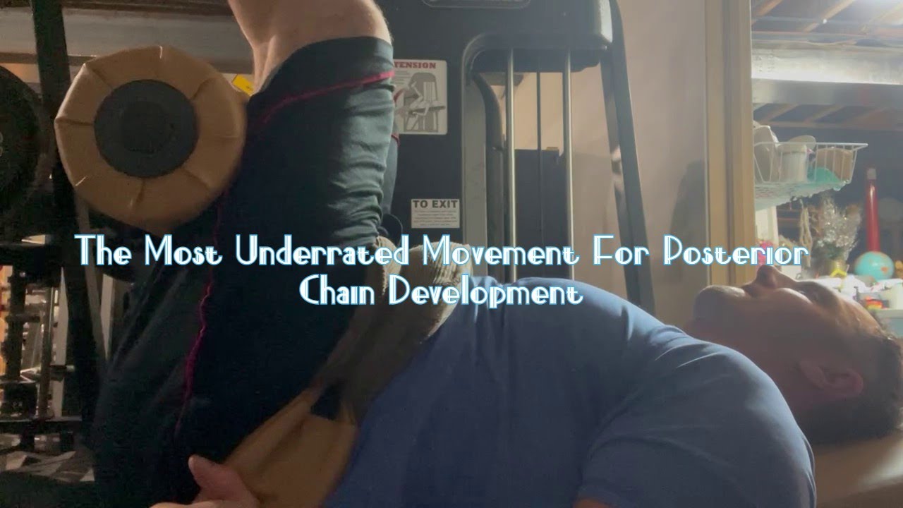 The Best Hip Extension Machine Ever Made - YouTube