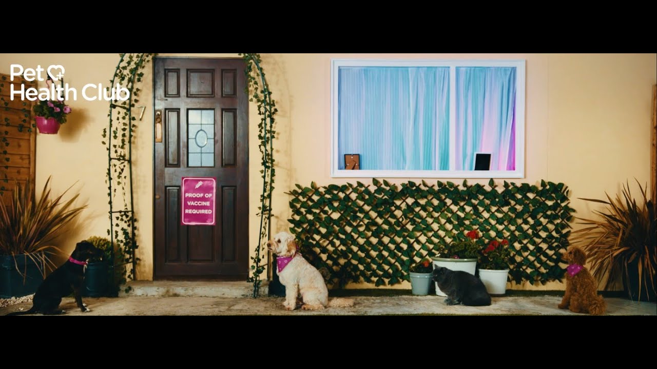The Pet Health Club - The Club All Pets Want To Join - YouTube