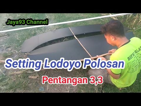 SETING GAPANGAN PEGON LODOYO | Polosan Hitam Sendaren 3m - YouTube