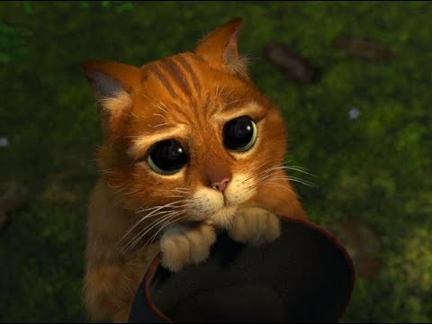 Shrek 2 (Azərbaycanca dublyaj)