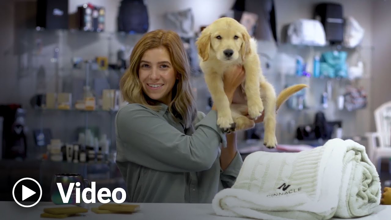 Sarah Selects: Holiday Gifts - YouTube