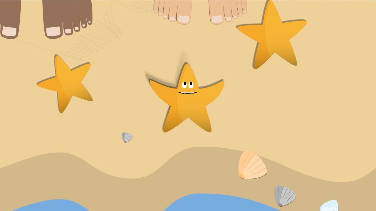 The Parable of The Starfish - Food For The Poor - YouTube