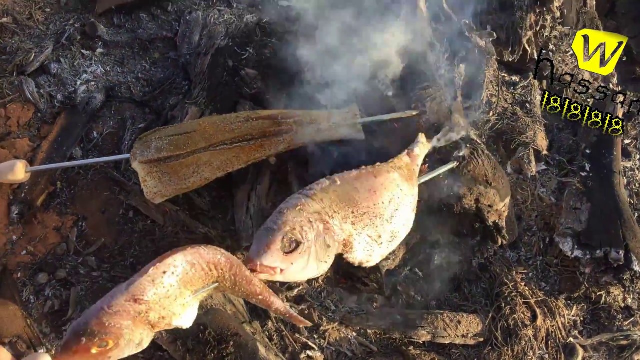 BBQ of Piranha - YouTube