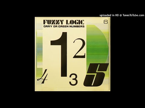 Fuzzy Logic – Gray Or Green Numbers (1994, CD) - Discogs