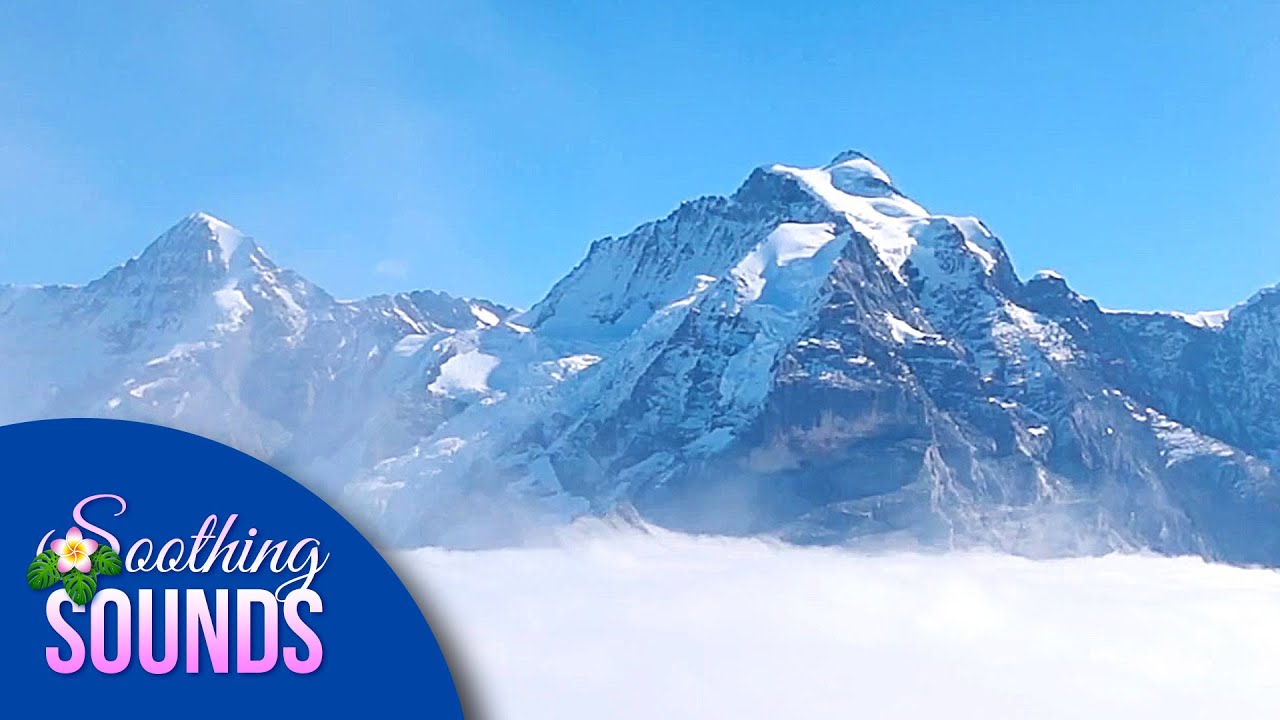 Windy Ambience with Howling Wind Sounds for Sleeping, Relaxing and ...