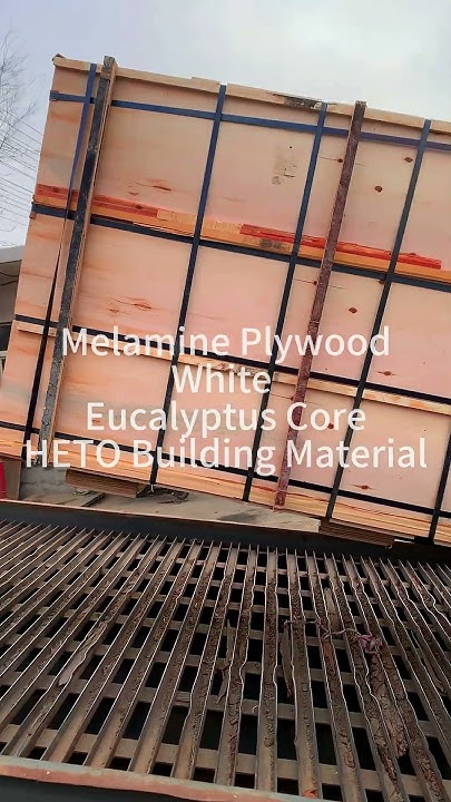 Melamine PlywoodWhite Full Eucalyptus Core - YouTube