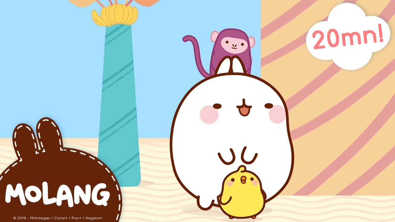 Molang - Lovely Animals - Compilation #14 - YouTube