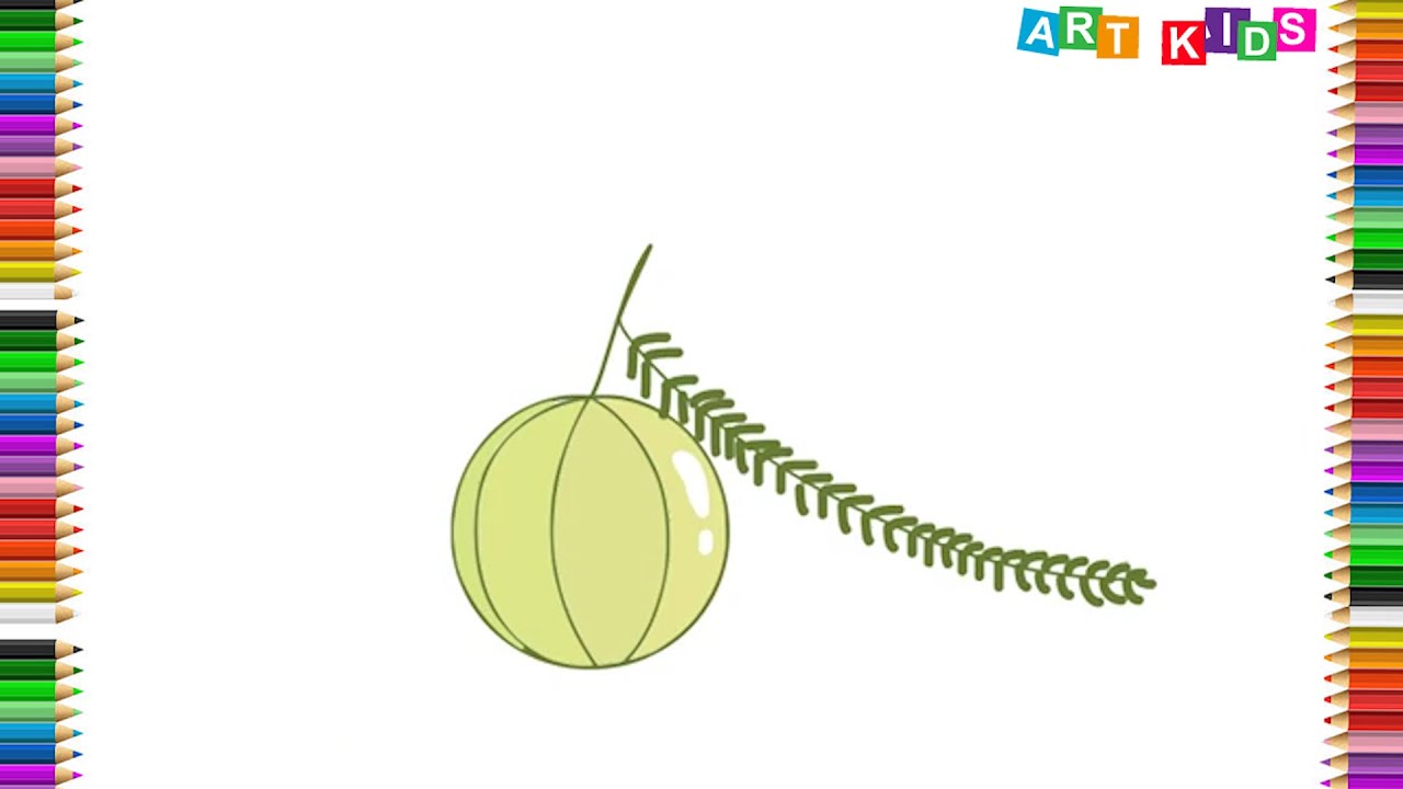 How to draw a gooseberry - YouTube