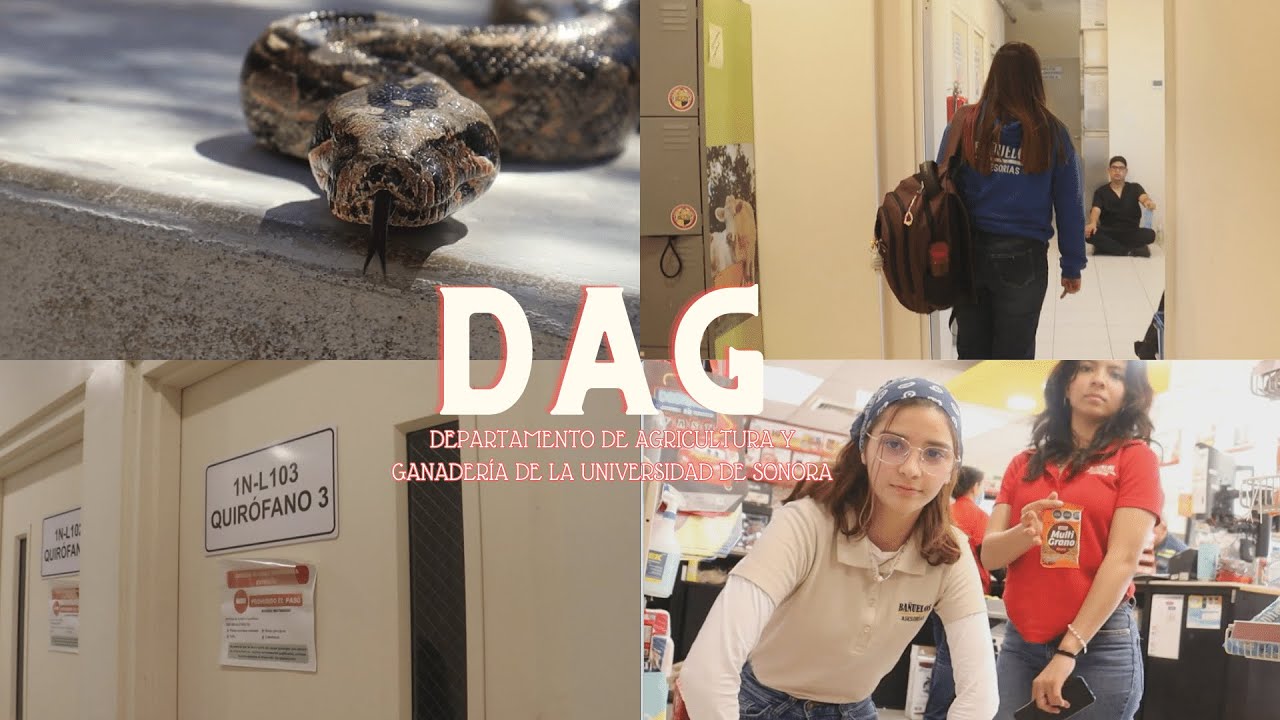 Conoce el DAG (Departamento de agricultura y ganaderia de la ...