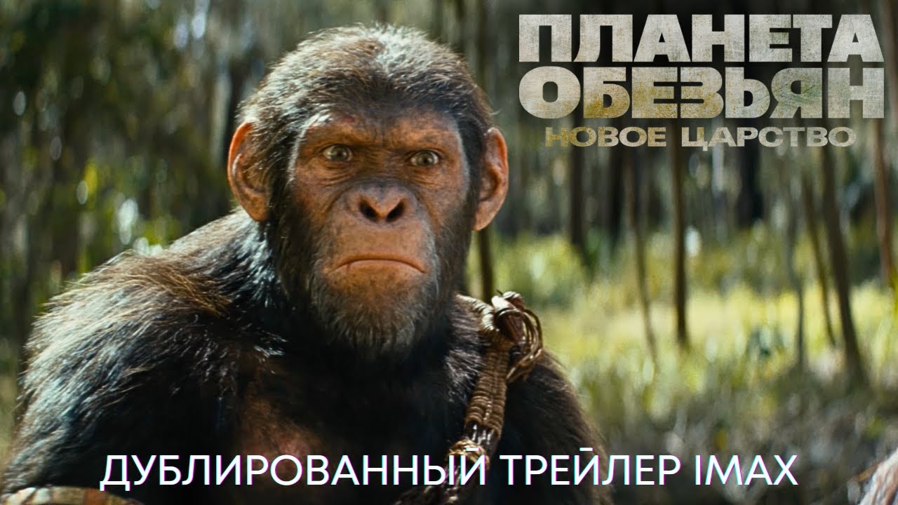 Планета Обезьян: Новое Царство | Трейлер IMAX | Фильм 2024 - YouTube