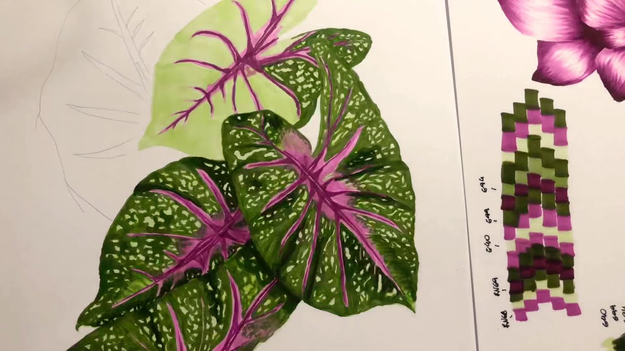 Timelapse Caladium Painting with Copics - YouTube