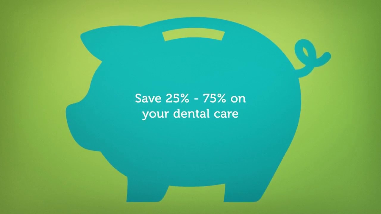 Save MONEY on Dental Care BILLS - Doc Wellbee Curing Dental Costs - YouTube
