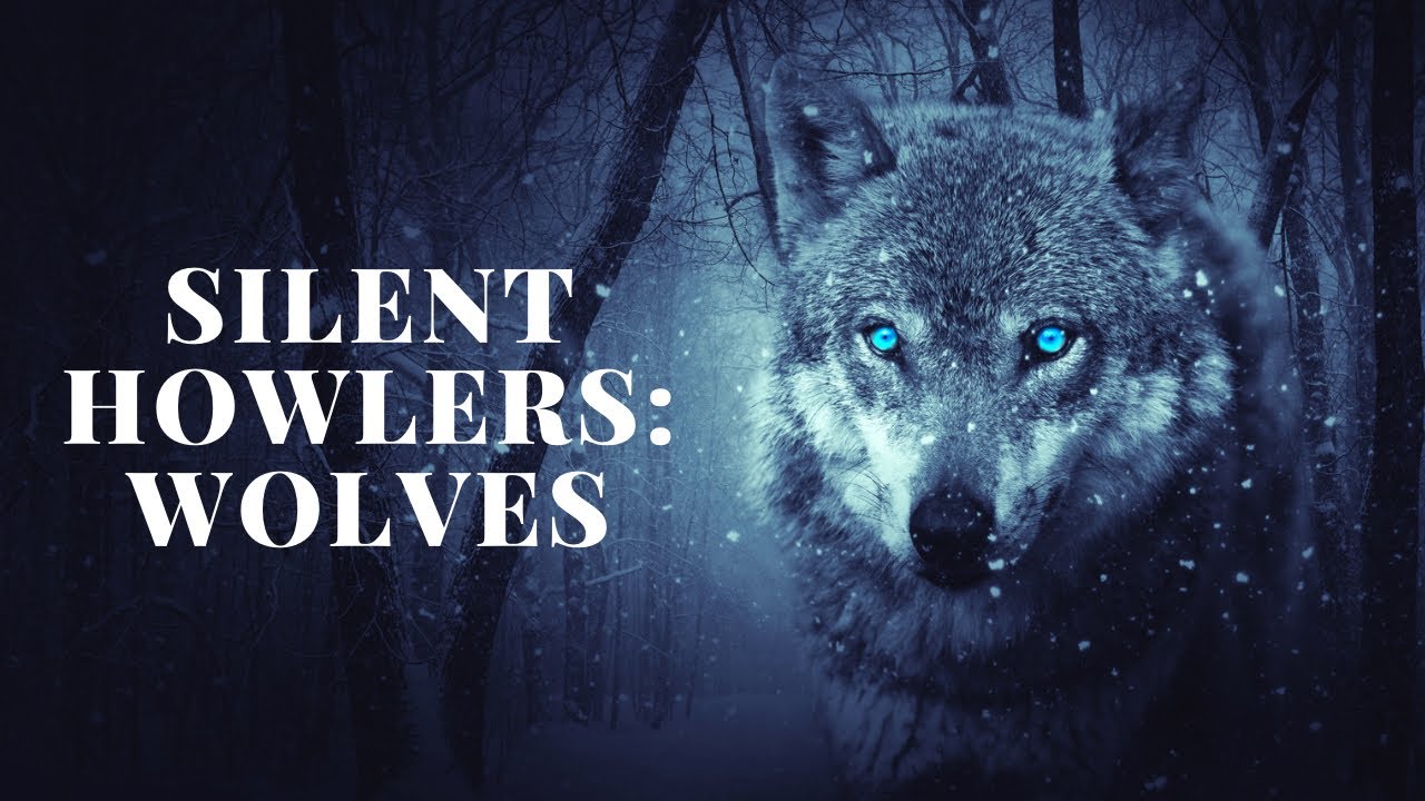 Wolves: Silent Howlers | Wolves in the Heart of the Wilderness - YouTube