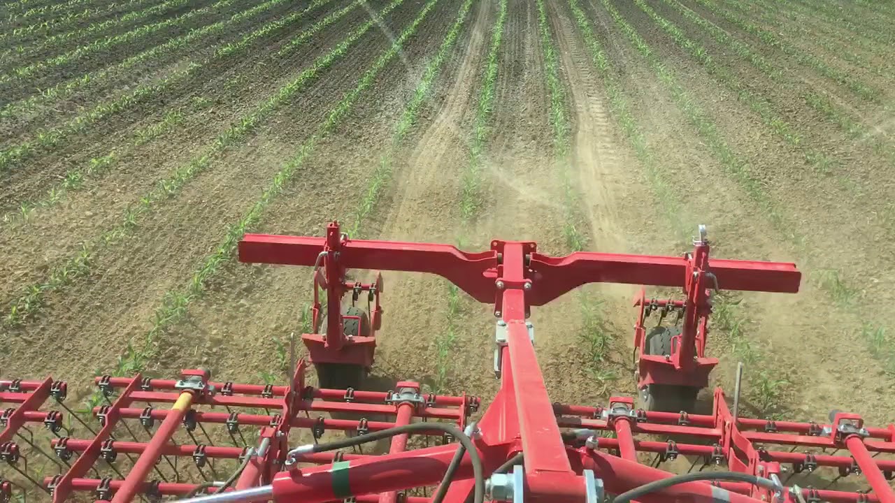Einbock Aerostar Exact 900 tined weeding organic corn - YouTube