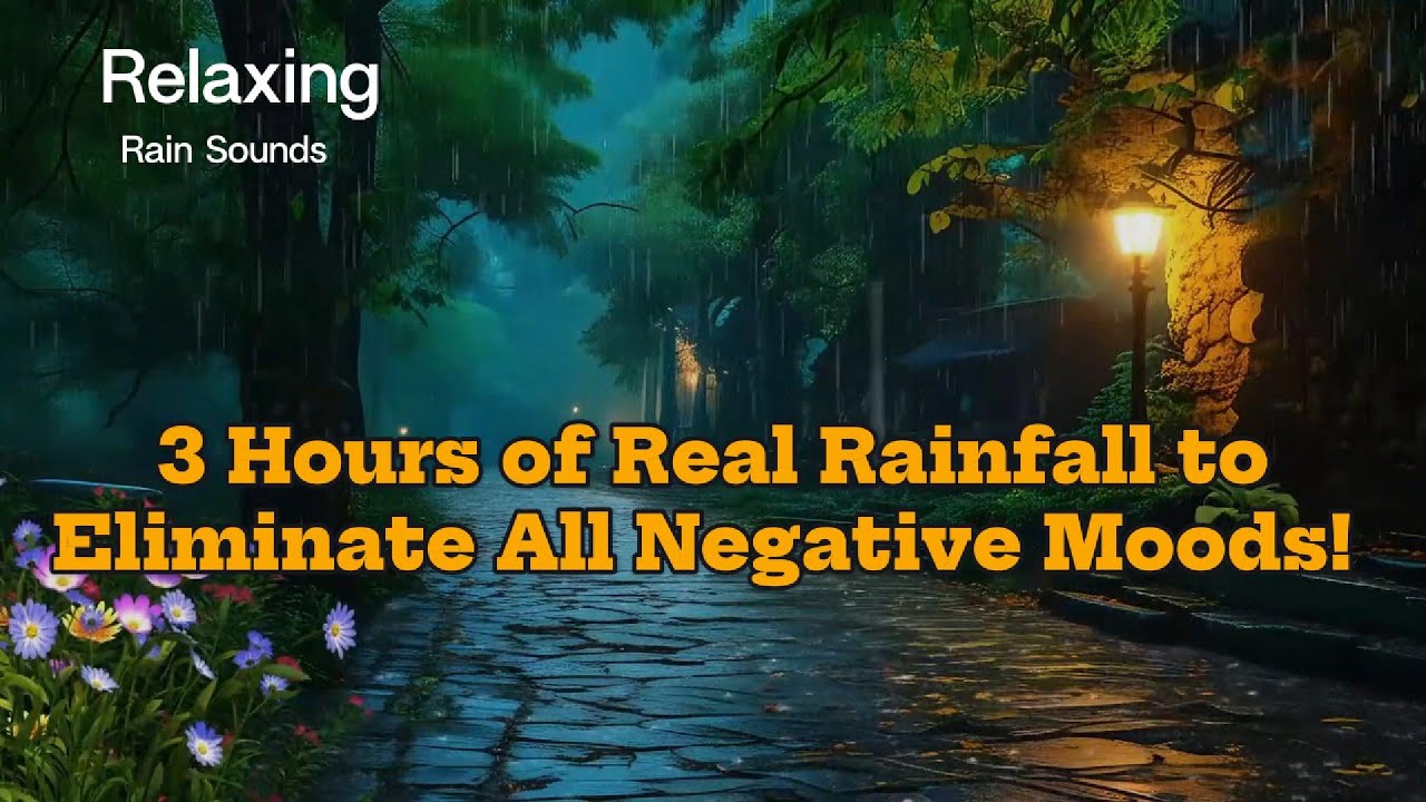 Relaxing Rain Sounds - 3 Hours of Real Rainfall to Eliminate All ...