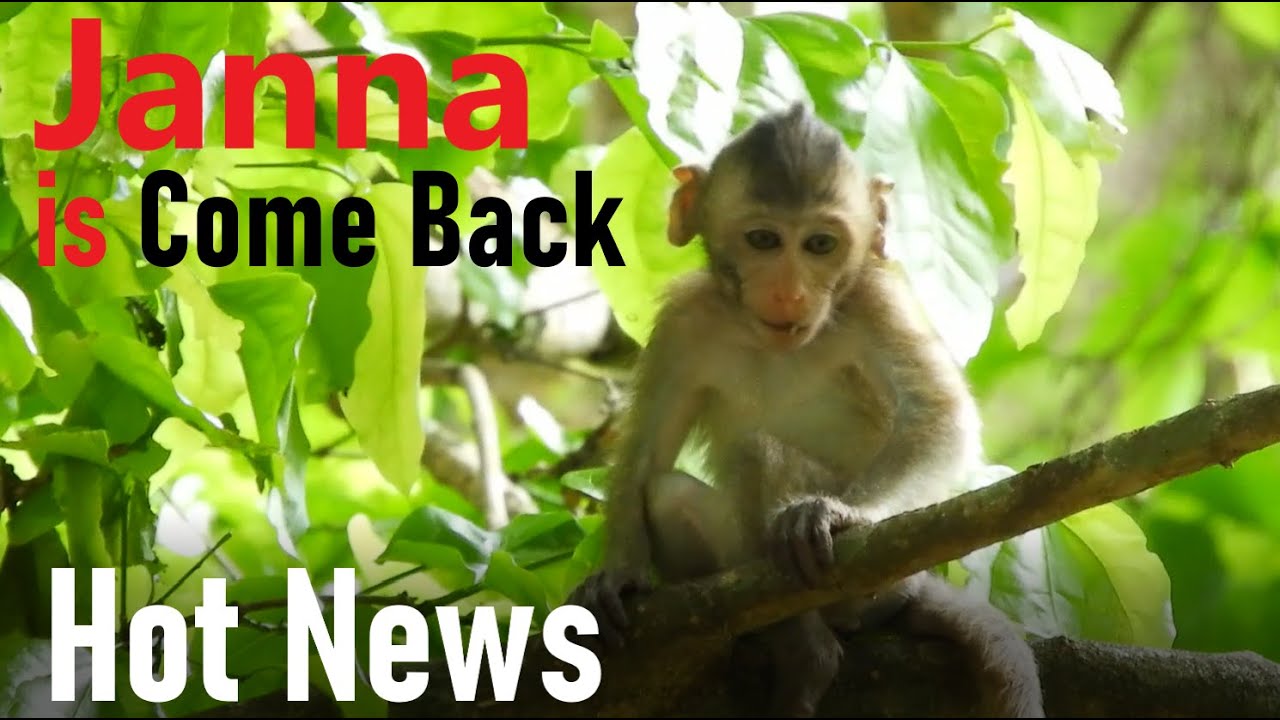 Good News!! Janna is Come Back After Rescue 1 Month And Half For ...