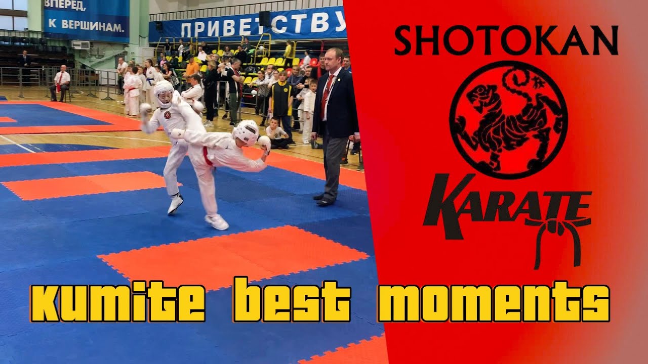 🥋Shobu nihon kumite (karate fight)│highlights #karate #shotokan # ...