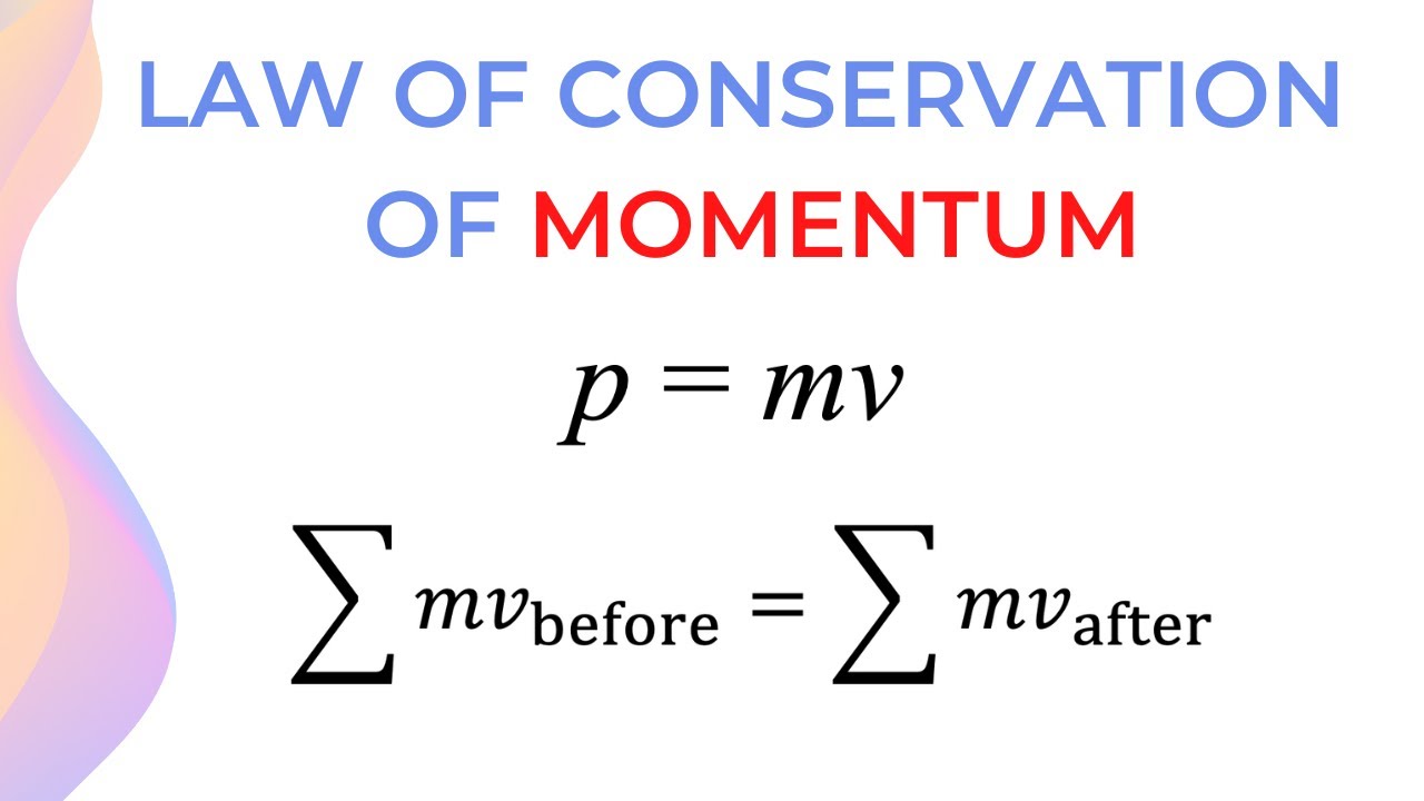 Momentum Law Of Conservation Of Momentum HSC Physics YouTube
