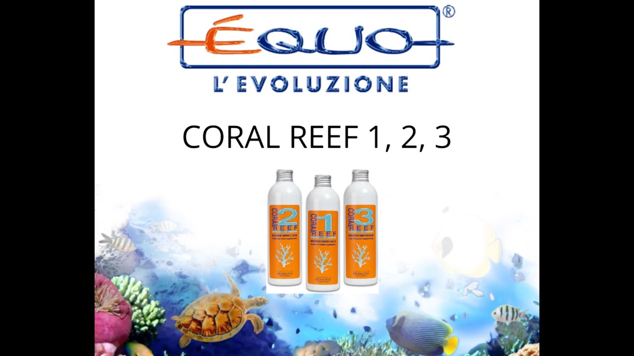 𝐄́quo Tutorial nr.46 - CORAL REEF 1 2 3 - YouTube