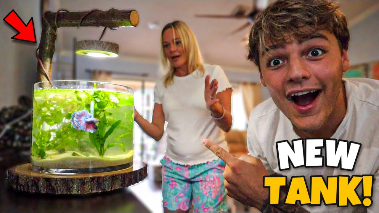 SURPRISING My MOM with Her DREAM *BETTA* FISH AQUARIUM!! - YouTube