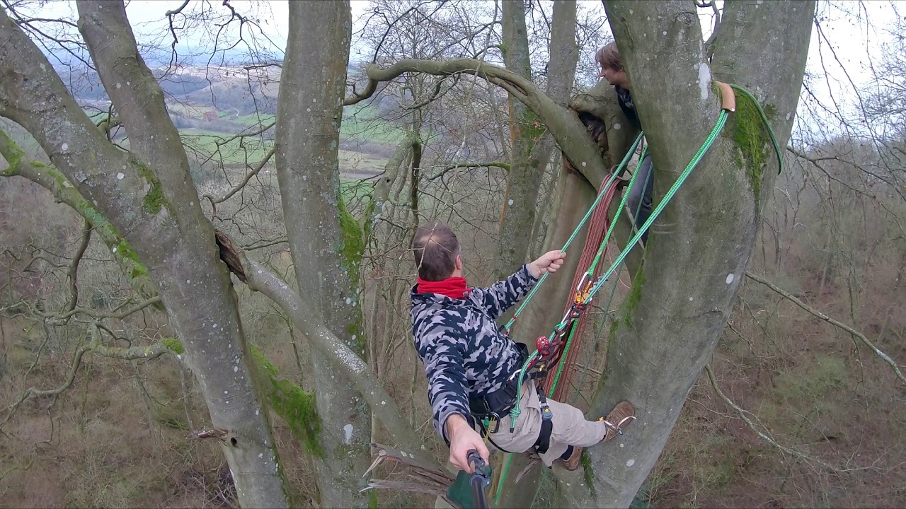 Climbing The UK s Tallest Native Tree At 45m YouTube climbing-the-uk-s-tallest-native-tree-at-45m-youtube