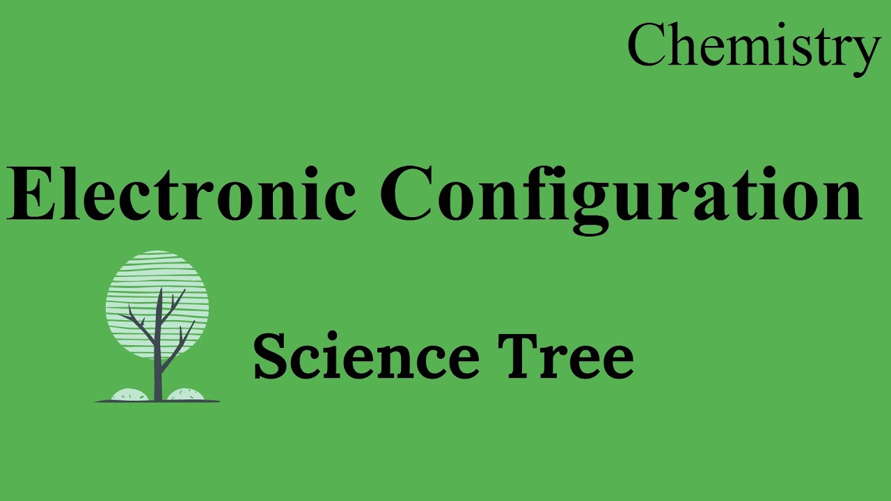 Electronic Configuration | Science Tree - YouTube