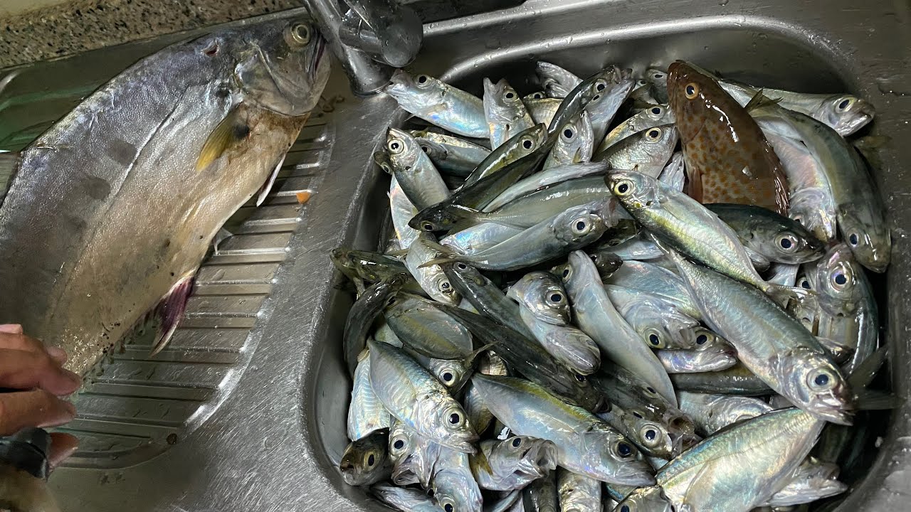 Mabilis lang ma puno dito ang balde | Matang baka hunting | bigeye scad ...