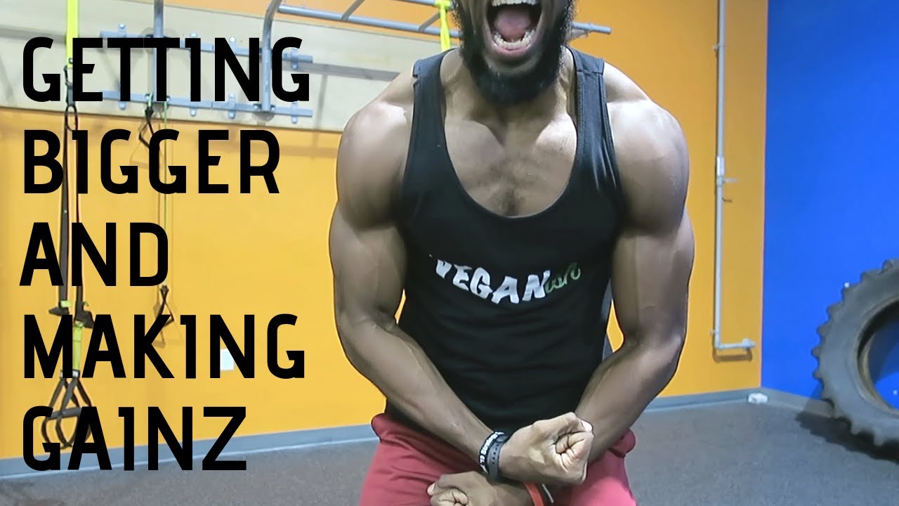 How to Get Stronger Faster | Full Body Workout Vlog - YouTube