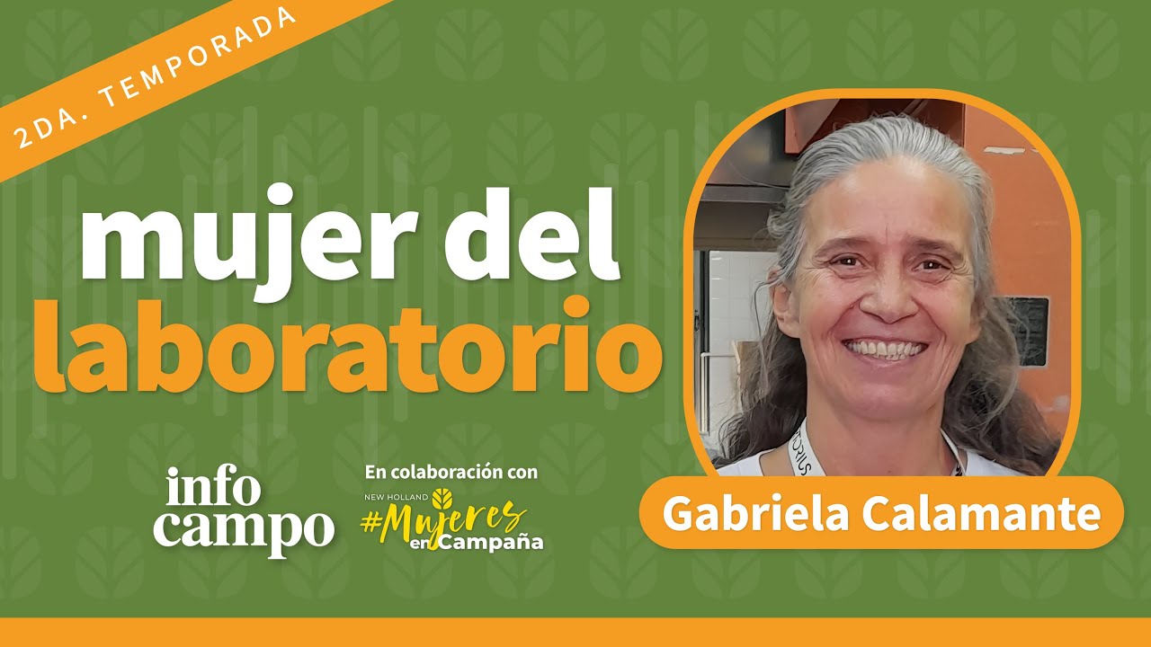 Gabriela, la bióloga que hace 30 años mejora vacunas en el INTA: "La ciencia se hace en equipo ...