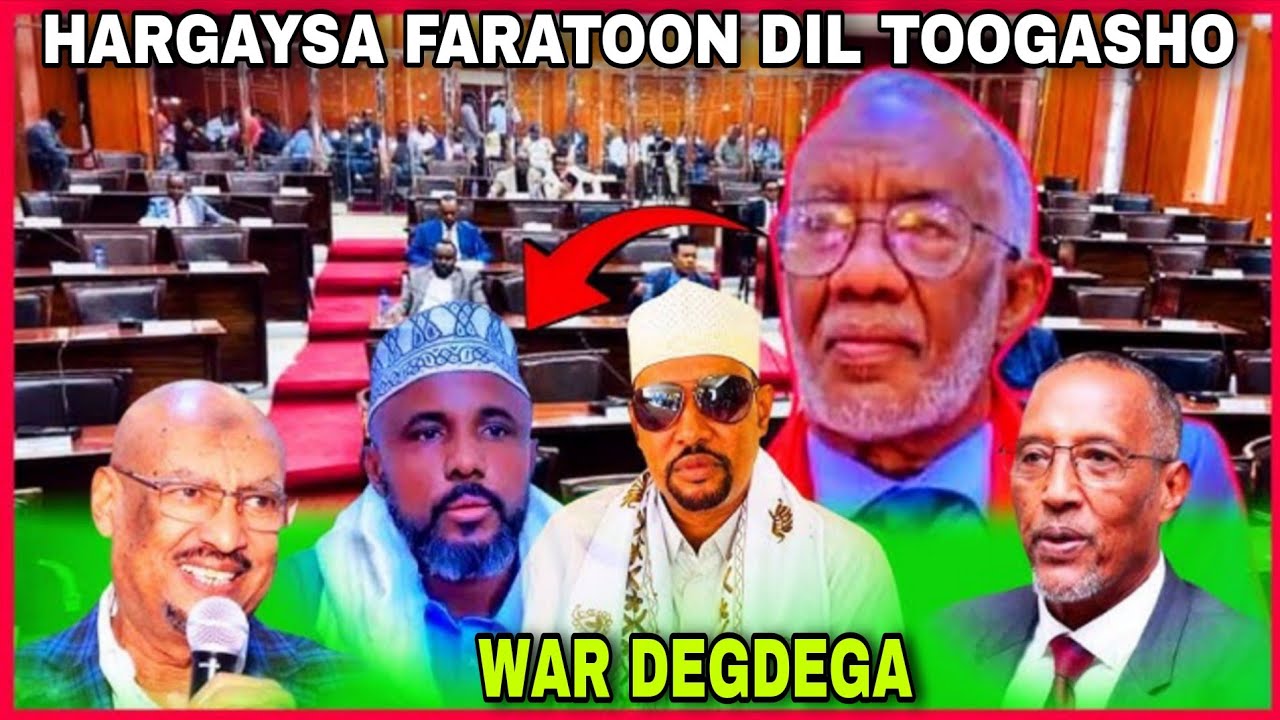 DEGDEG:DAAWO HARGAYSA HORGAL FARATOON OO JIGJIGA UBAXSADAY DIL TOOGASHO ...