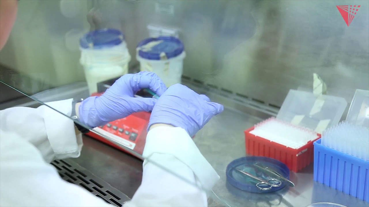 Fighting obesity by growing more fat cells - YouTube